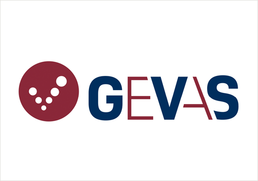 TYPO3 Foto Upload Portal für GEVAS AG | LautundKlar